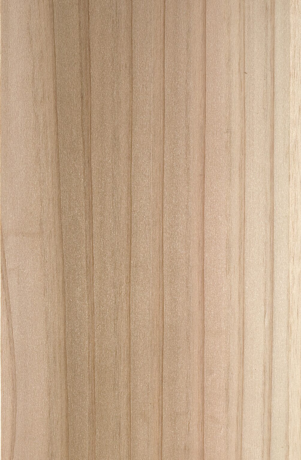 STANDART WALL | 無垢フローリング・フローリング・床材の販売はシーゲル
